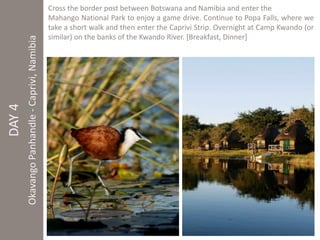 BB14 Best of Botswana, Namibia, Zimbabwe & South Africa in 14 Days | PPTX