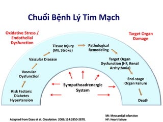 beta blockers in acute coronary syndrome update 2018 | PDF