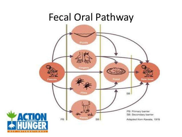 Water and Health_ACF_Session 1