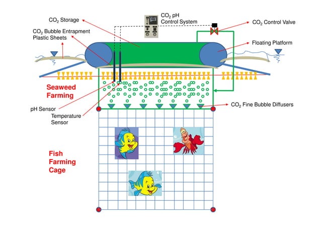 Seaweed – Fish Farming Floating Platform | PDF