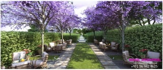 Nikhil Aggarwal portfolio | PPT