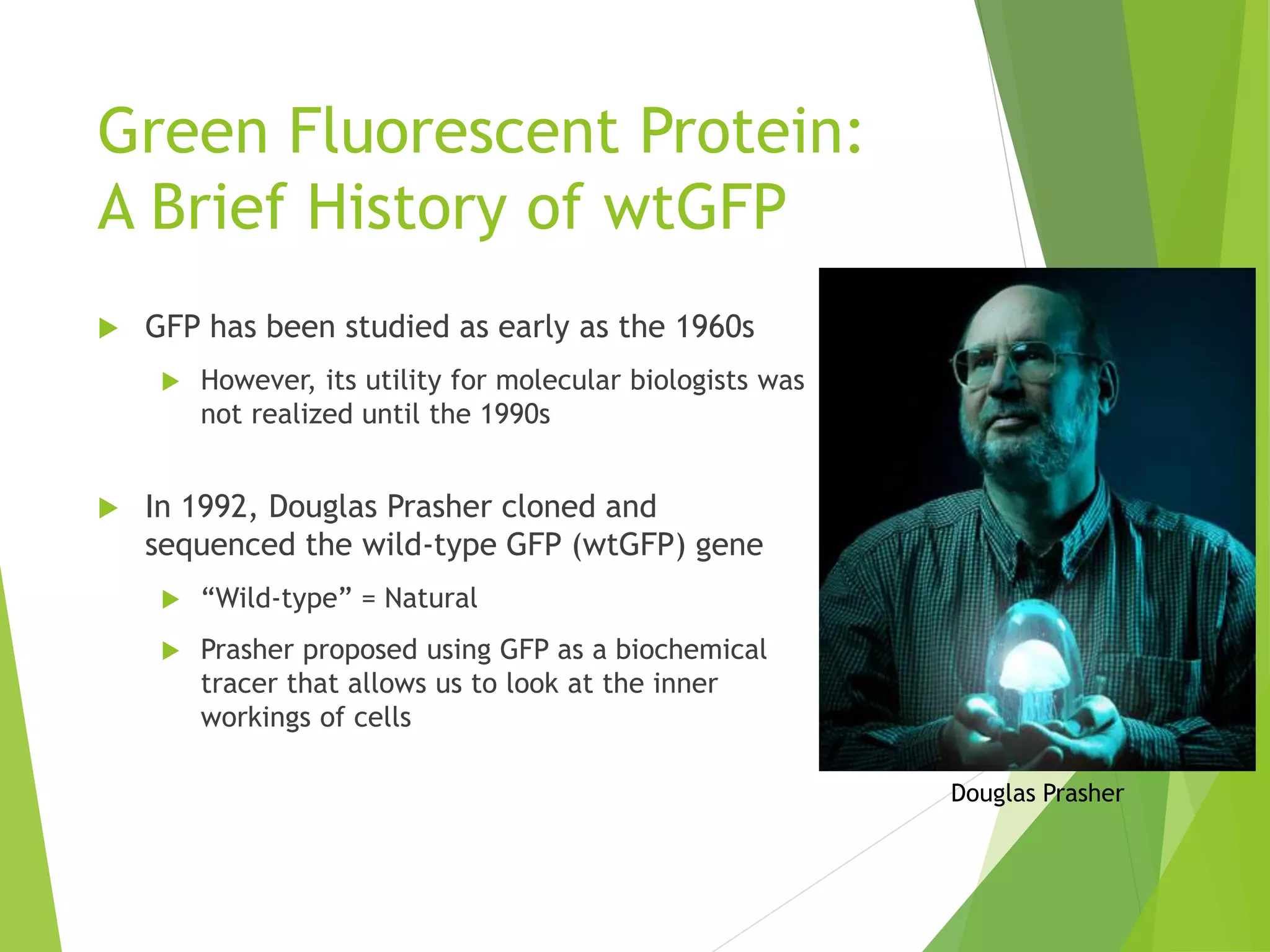 GFP Workshop | PDF