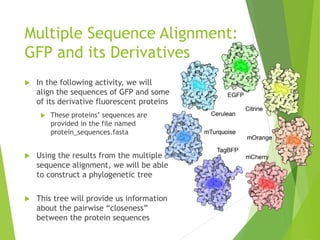 GFP Workshop | PDF