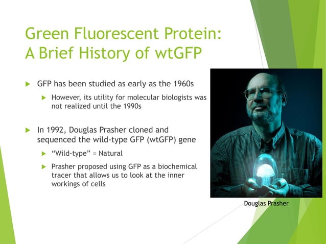 GFP Workshop | PPT