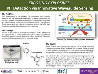 Exposing Explosives flyer | PDF