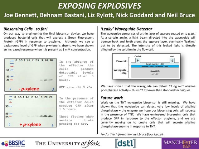 Exposing Explosives flyer | PPT