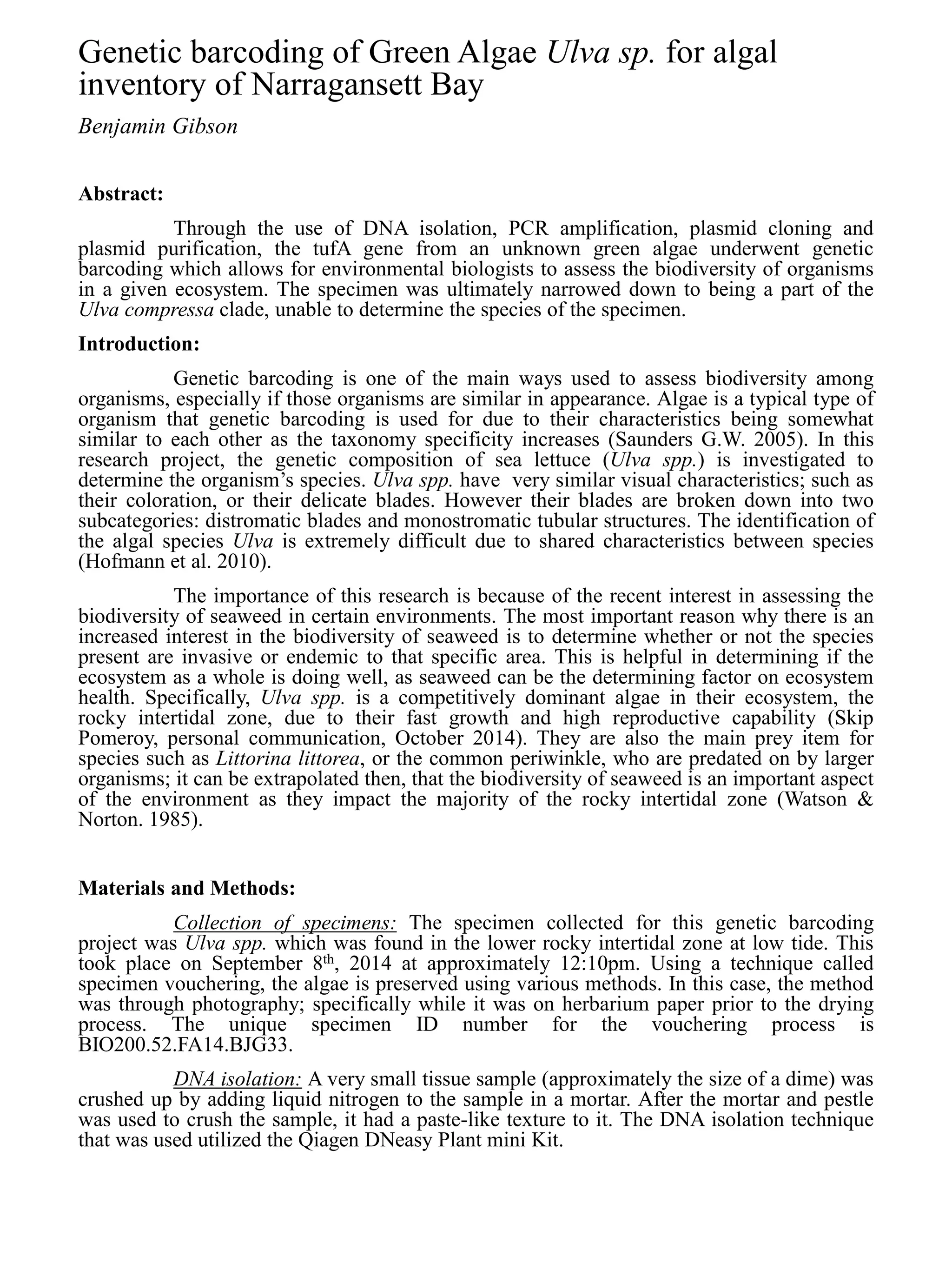Algae lab report | PDF