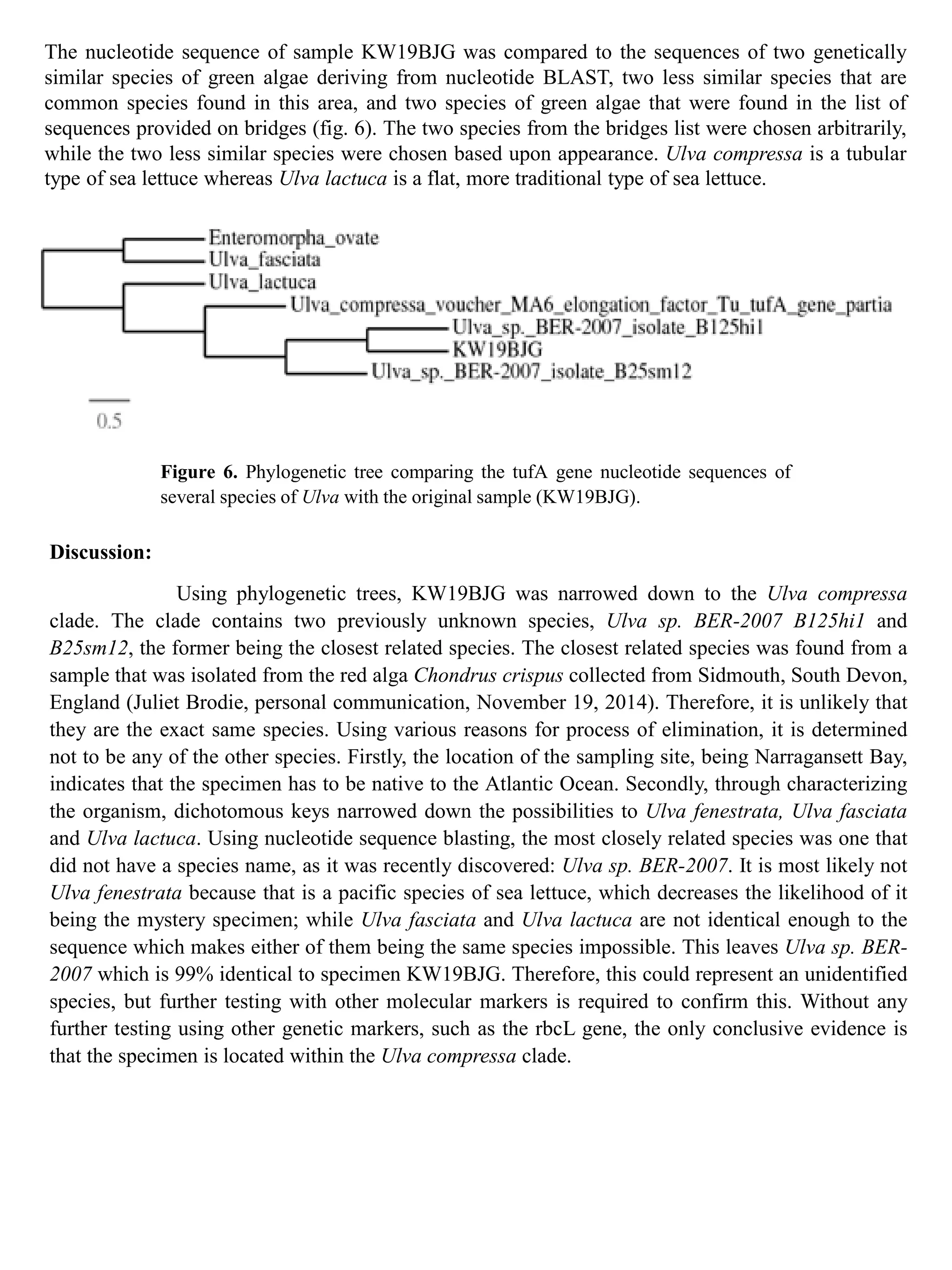 Algae lab report | PDF