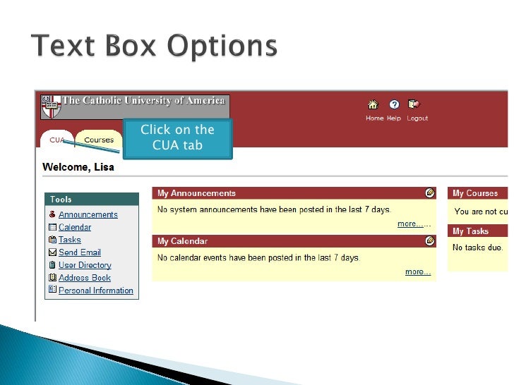 Student Text Box Editor Options