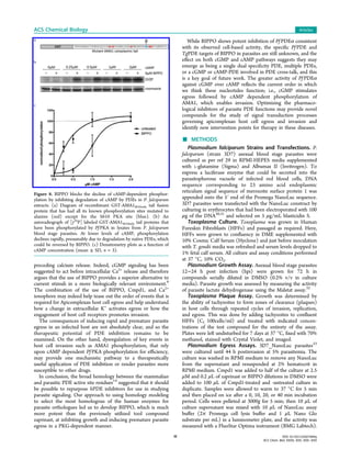 Identification of Potent Phosphodiesterase Inhibitors that Demonstrate Cyclic Nucleotide ...