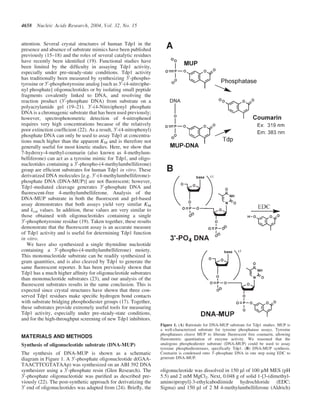 Nucleic Acids Res. 2004 Rideout | PDF