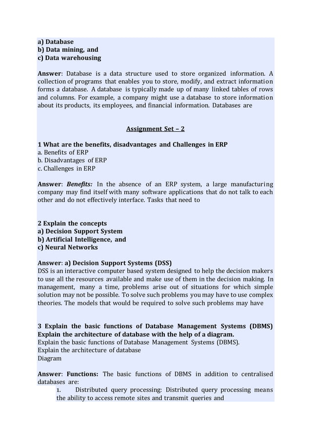 Bba210 – management information system | DOCX