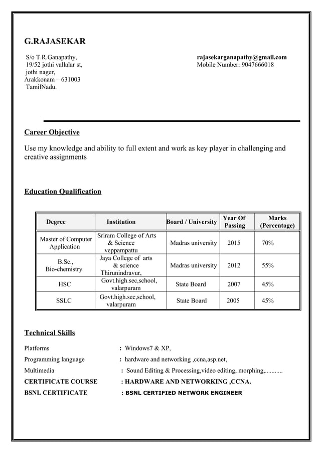 RESUME | DOC | Computing | Technology & Computing