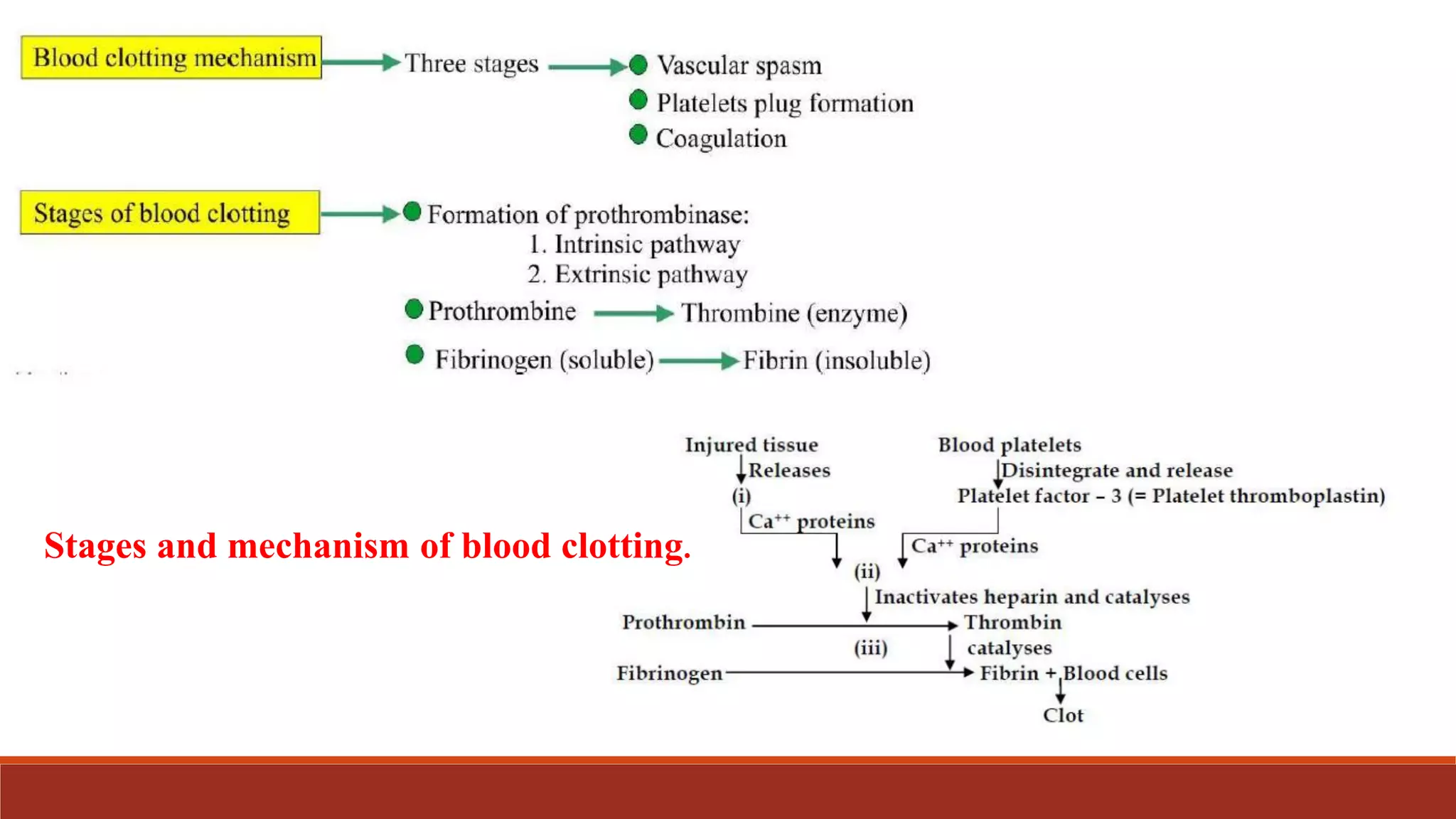 Coagulant & Anticoagulants | PDF