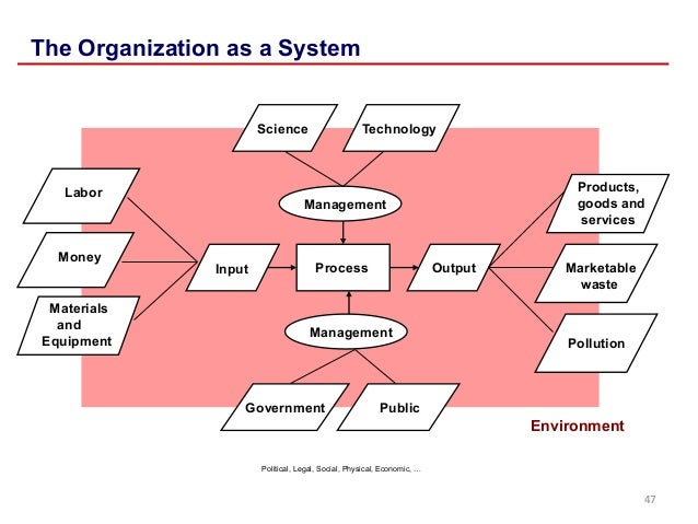 Management Information System