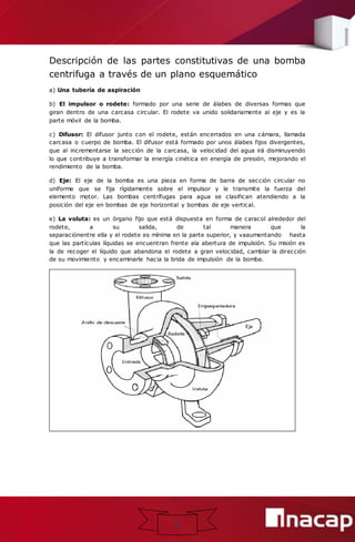 Bombas centrifugas | DOCX