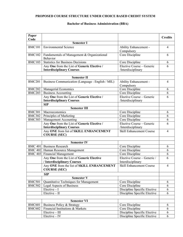 BBA SYLLABUS.pdf