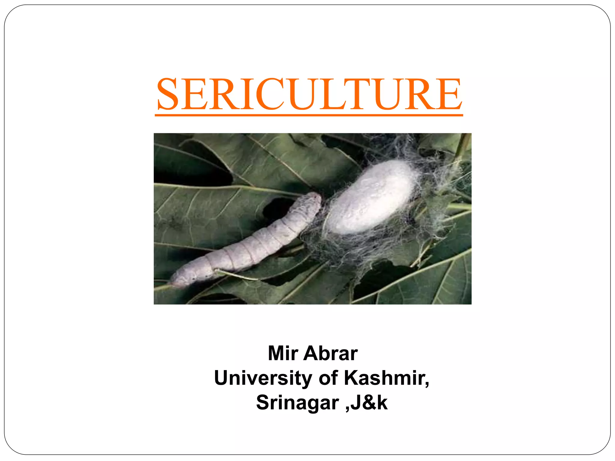 Sericulture | PPT