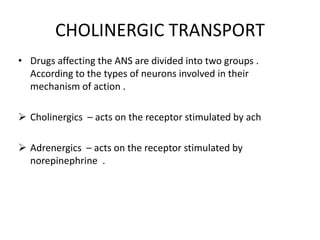 Bbb choline transporter | PPTX