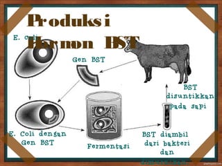 Bioteknologi modern | PPT