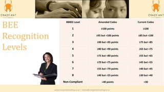 BBBEE Consulting Services @ Crazy Ant Consulting | PPTX | Business | Business and Finance