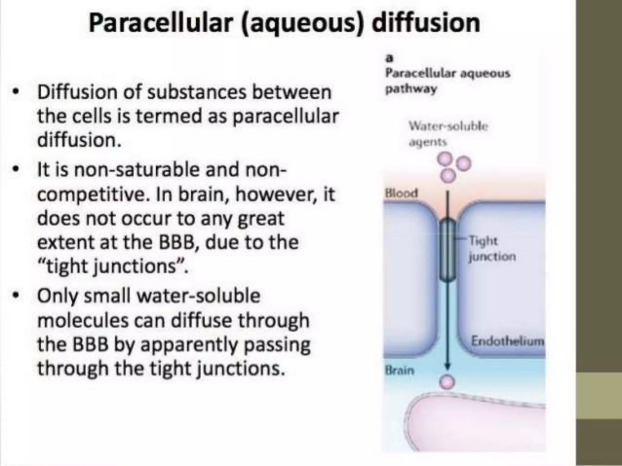 Bbb presentation | PPTX
