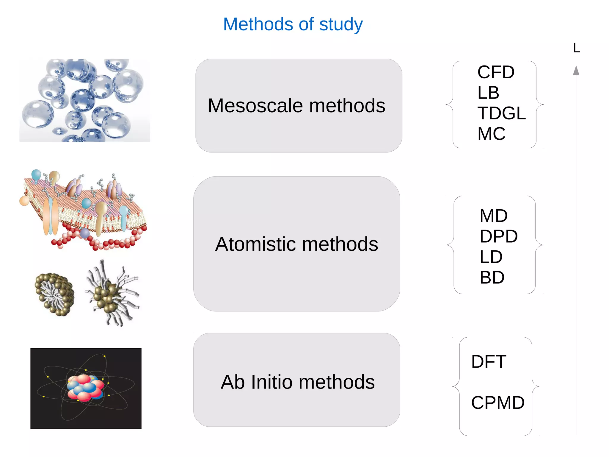 Computational Liquid Crystal Physics | PDF