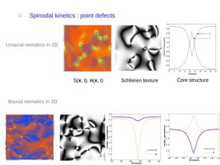 Computational Liquid Crystal Physics | PPT | Free Download