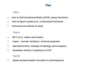 Computational Liquid Crystal Physics | PPT | Free Download