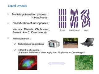 Computational Liquid Crystal Physics | PPT | Free Download