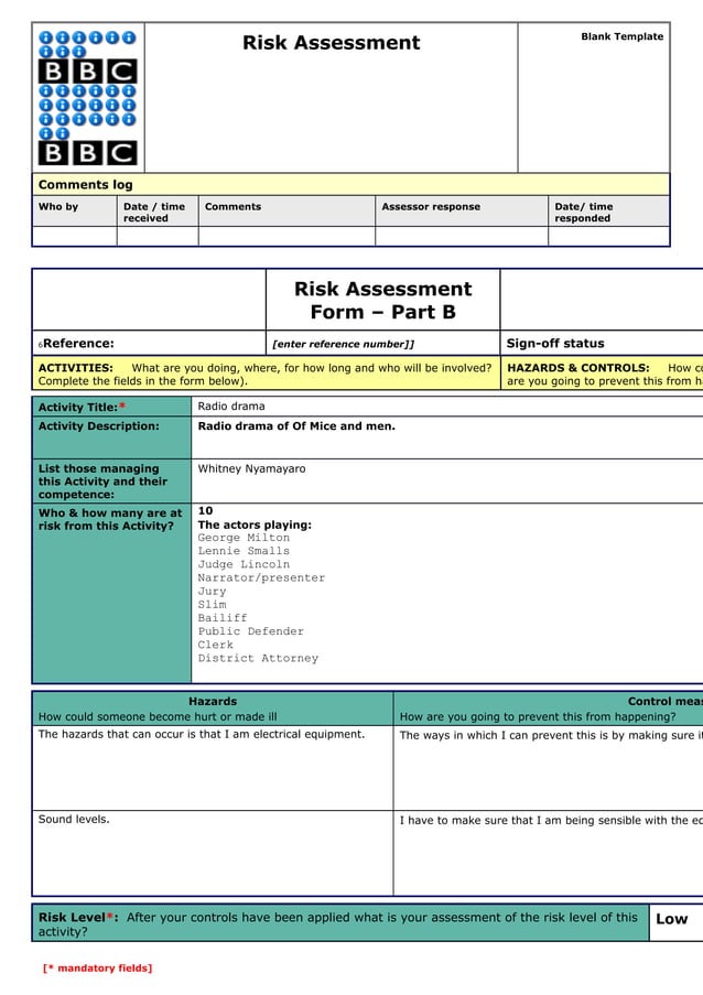 Bbc risk-assessment | DOC