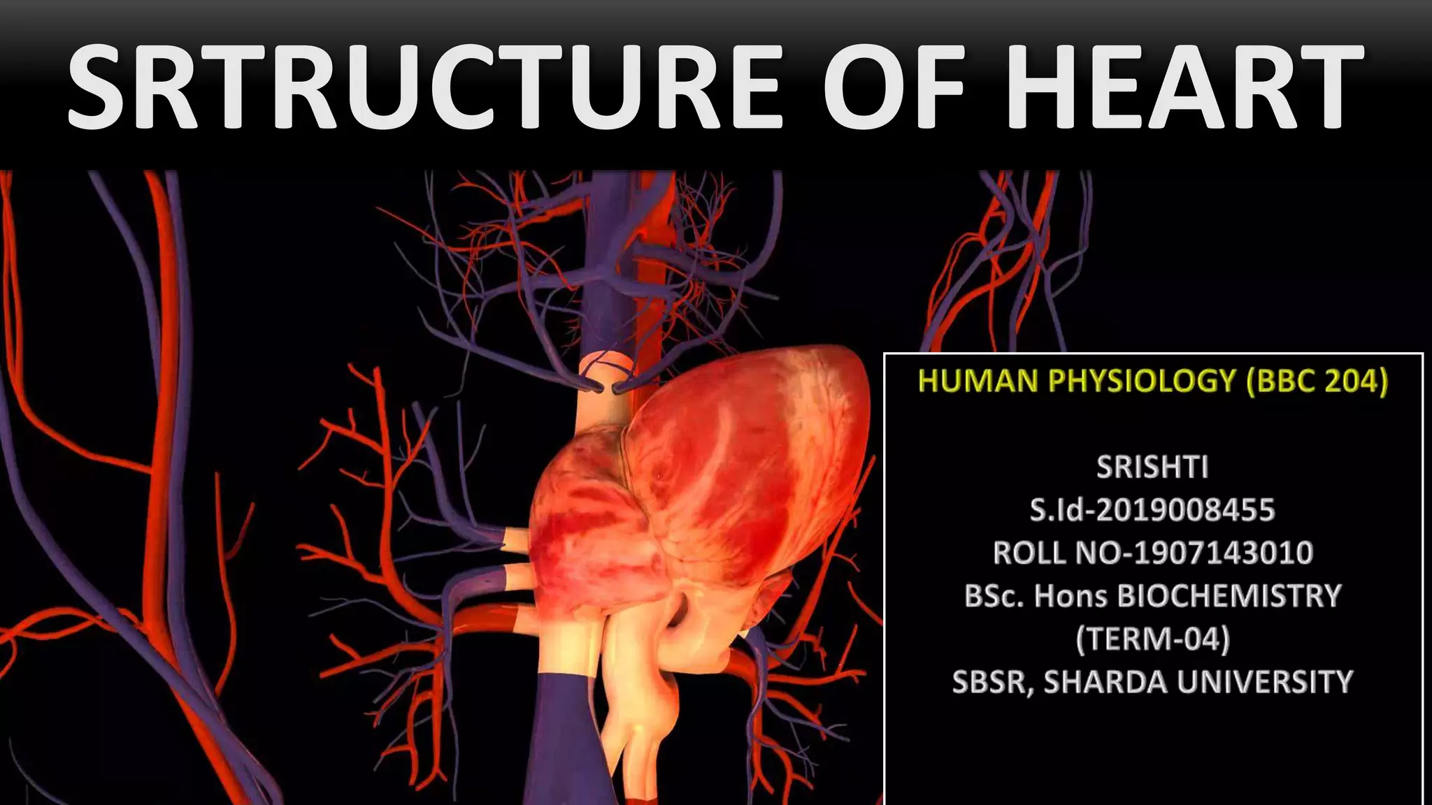 Structure Of Heart | PPTX