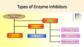 Enzyme Inhibitors | PPTX
