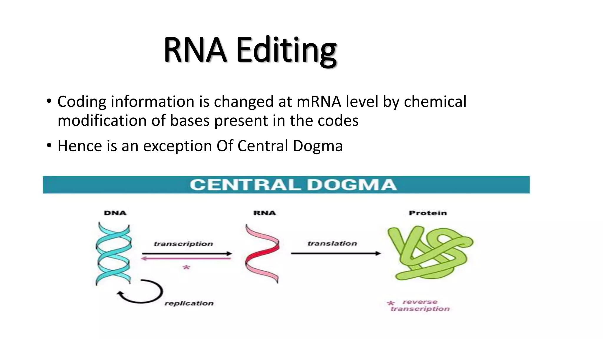 Post Transcriptional Modifications Pptx Chemistry Science