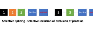 Post Transcriptional Modifications | PPTX