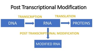 Post Transcriptional Modifications | PPTX