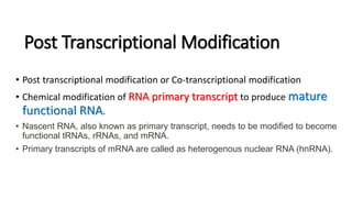 Post Transcriptional Modifications | PPTX