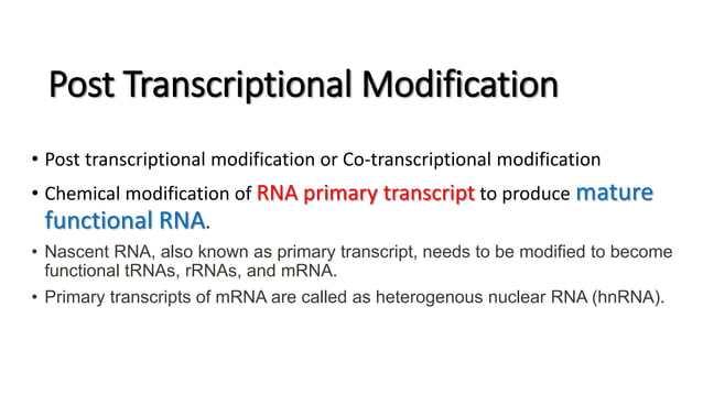 Post Transcriptional Modifications | PPTX | Chemistry | Science