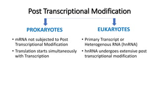 Post Transcriptional Modifications | PPTX