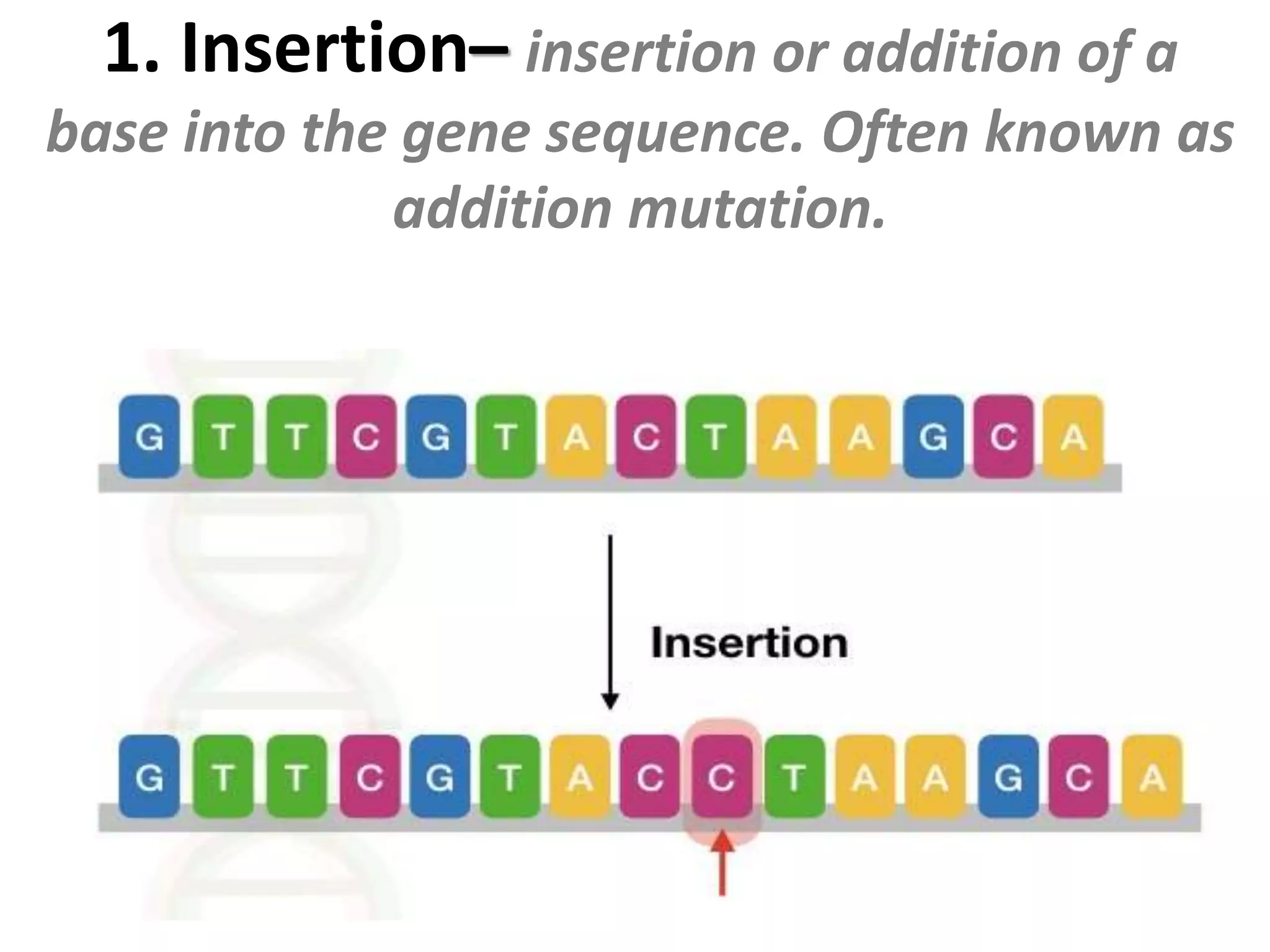 Gene Mutation | PPTX