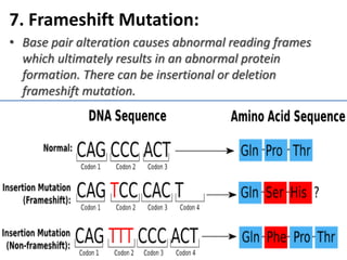 Gene Mutation | PPTX | Genetics | Science
