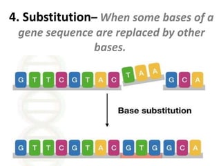 Gene Mutation | PPTX