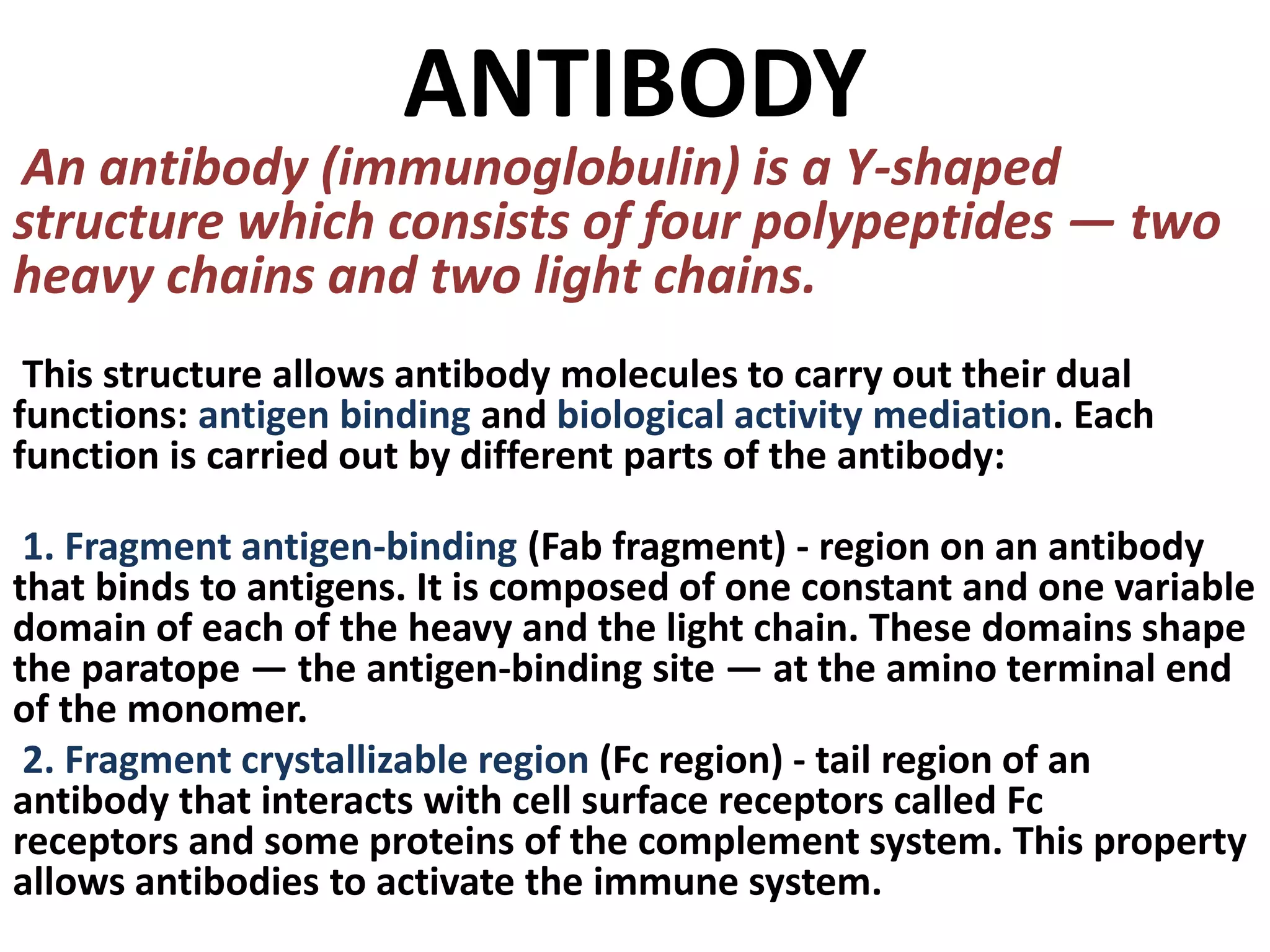 Antibody Structure, Types & Functions | PPTX