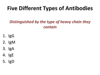 Antibody Structure, Types & Functions | PPTX