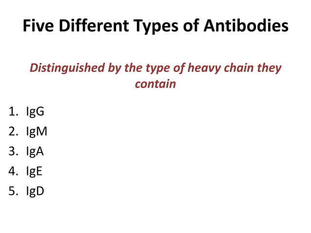 Antibody Structure, Types & Functions | PPTX | Blood Disorders ...