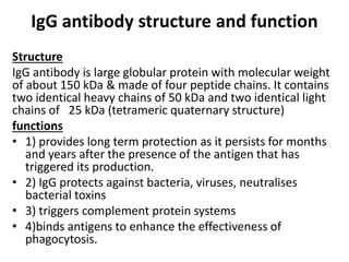 Antibody Structure, Types & Functions | PPTX