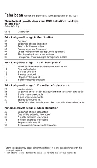 BBCH | PDF