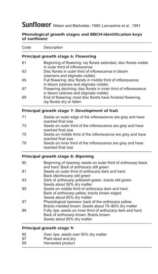 BBCH | PDF