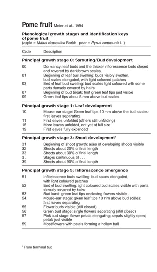 BBCH | PDF