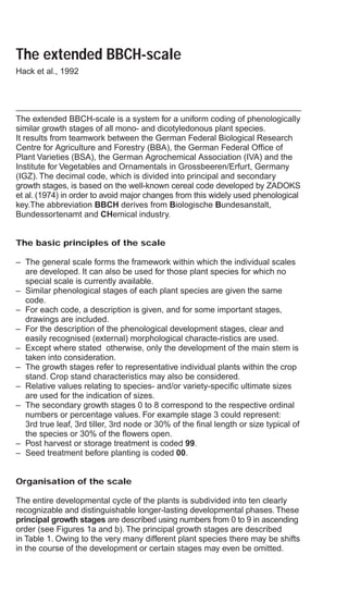 BBCH | PDF